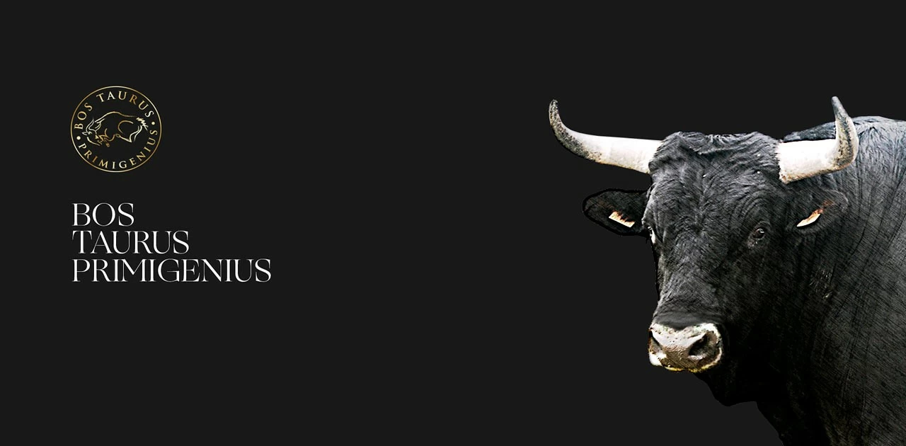 Bos Taurus Primigenius | bostaurusprimigenius.org